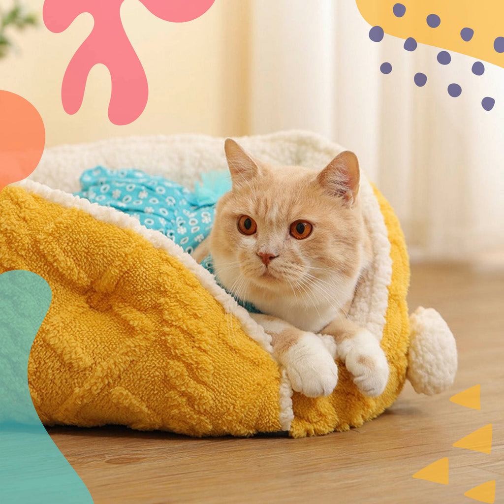 What’s a Good Cat Food? Honest Guide for Australian Cat Owners – ADS ...
