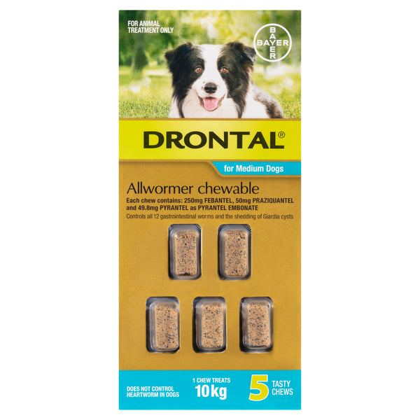 Dog | Buy Dog Products Online Dog | Buy Dog Products Online – ADS Pet Store